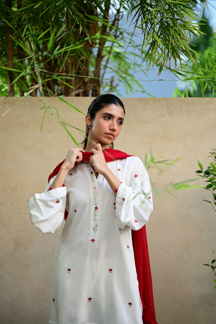 Ladybug – Kamli Collective